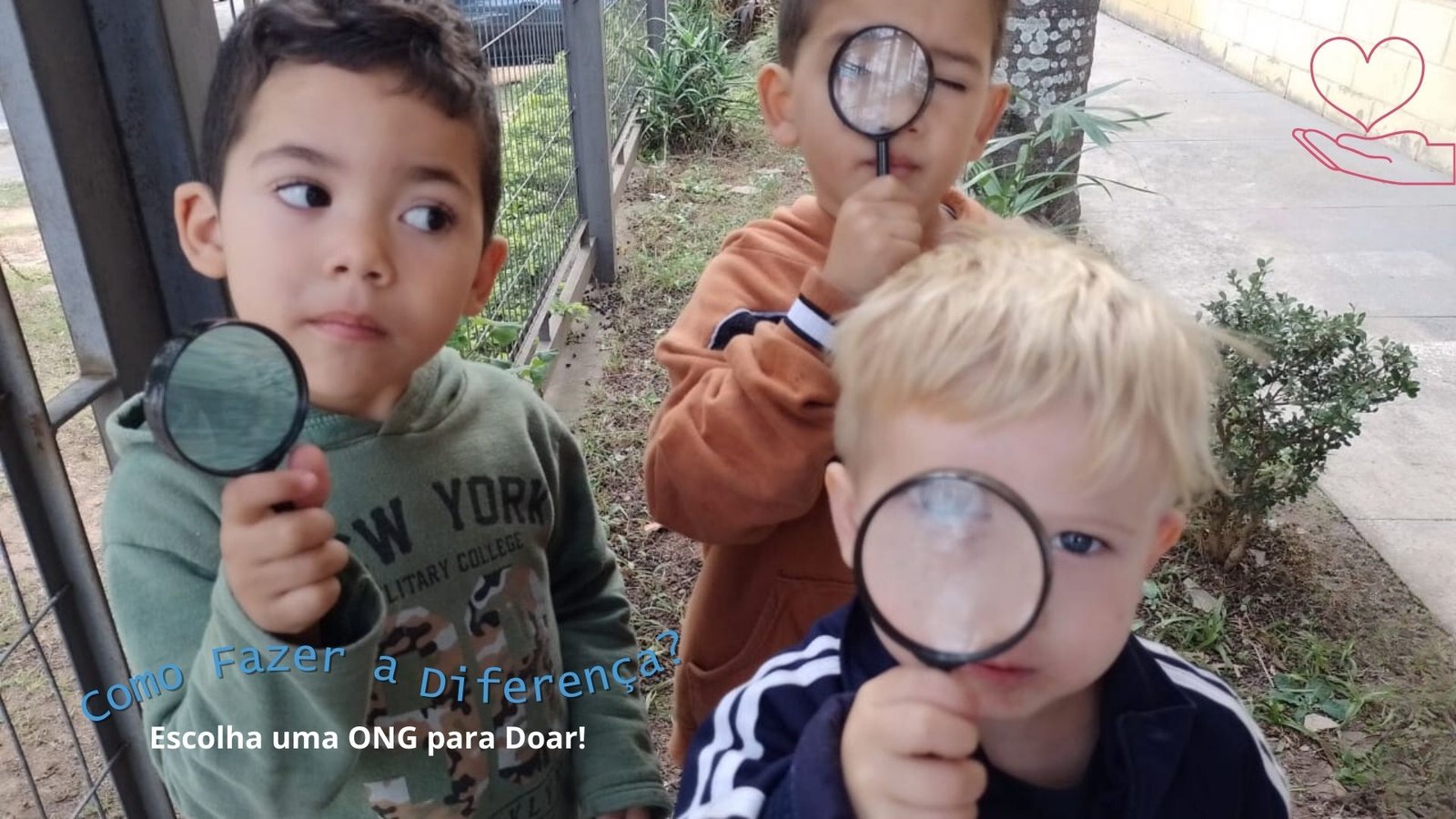 Porque escolher uma ONG para doar? – CEPROMM